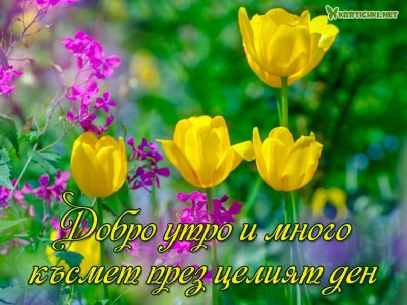 Картичка за добро утро и много късмет Добро утро с цветя Картички